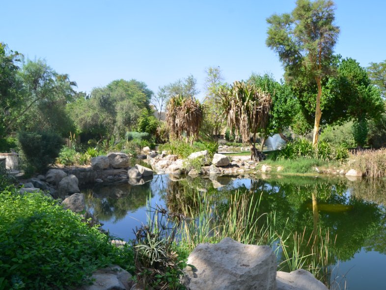 Al Barari Area Guide | LUXHABITAT