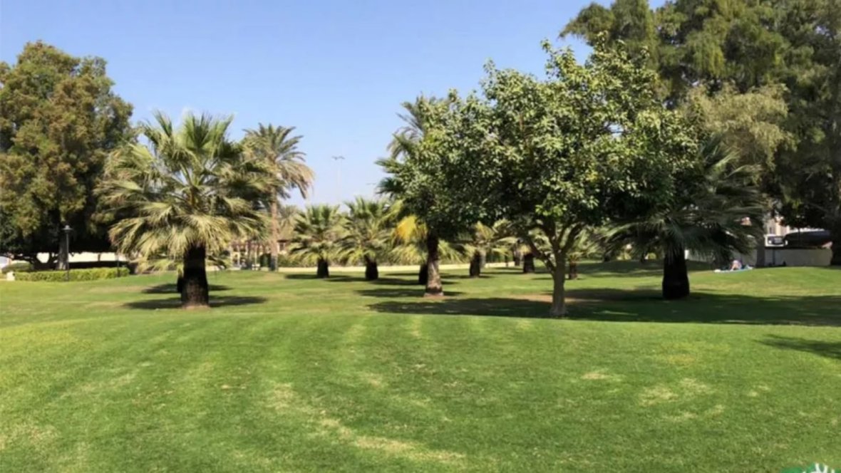 Al Wasl Area Guide - Location Map, Amenities & Community Insights ...