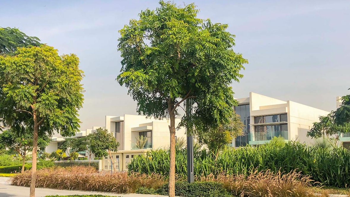 Meydan Area Guide - Location Map, Amenities & Community Insights | Eminence