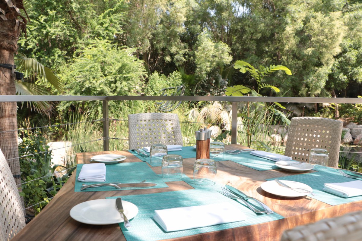 The Farm - Al Barari Restaurant Review | Luxhabitat Dubai