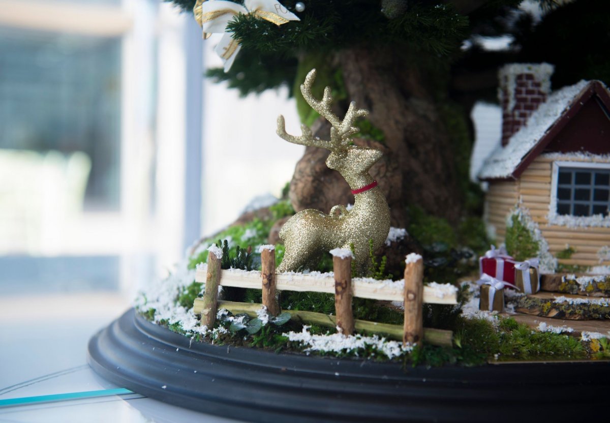 A festive hosting guide | Luxhabitat